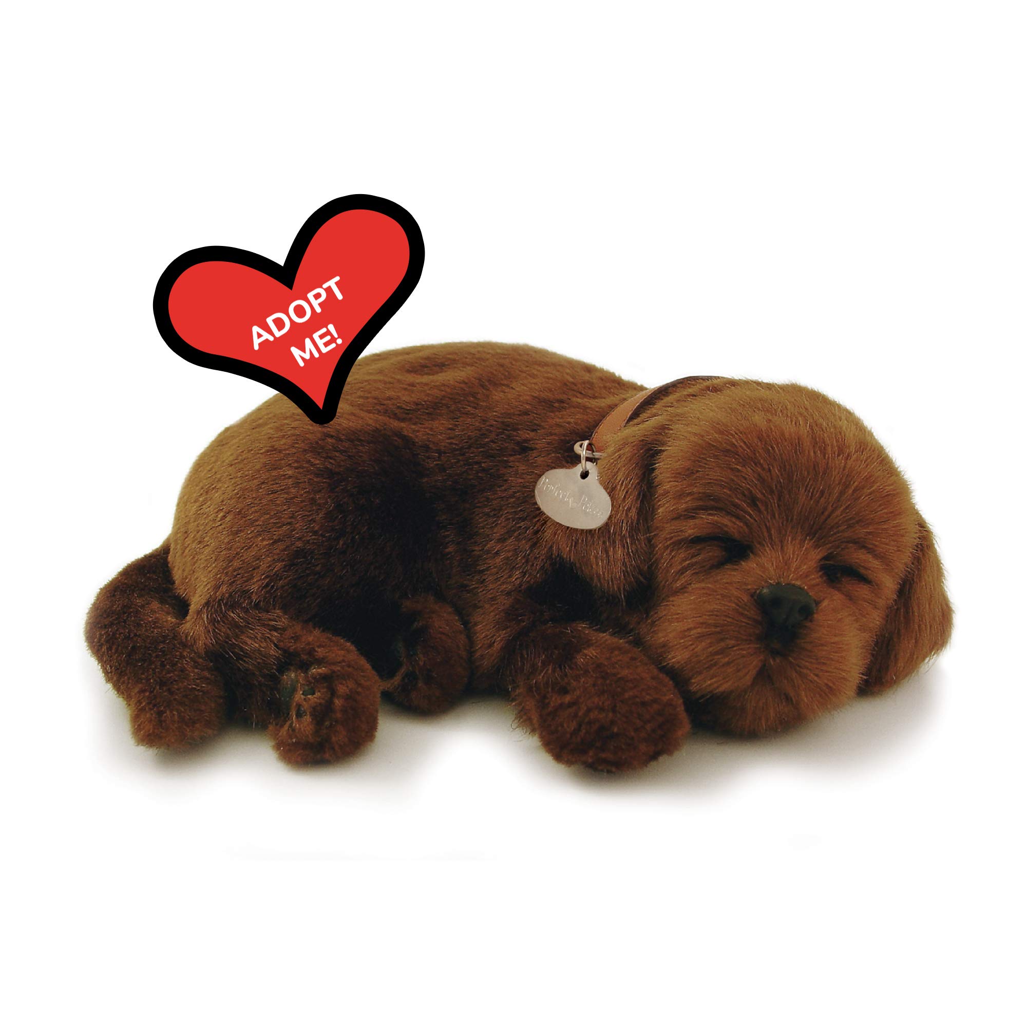 Perfect Petzzz - Original Petzzz Chocolate Lab, Realistic, Lifelike Stuffed Interactive Pet Toy, Companion Pet Dog with 100% Handcrafted Synthetic Fur