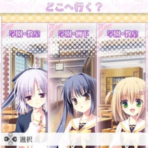 Sugary Wish -Limited- [Limited Edition] [Japan Import]