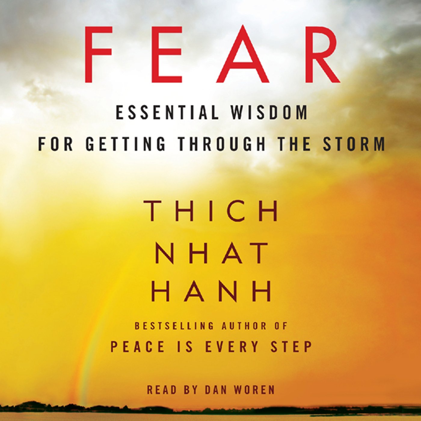 Fear: Essential Wisdom for Getting Through the Storm