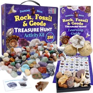 dancing bear rock, mineral & geodes treasure hunt activity kit (250 pc set) real shark teeth fossils, id sheet & rock book, stem