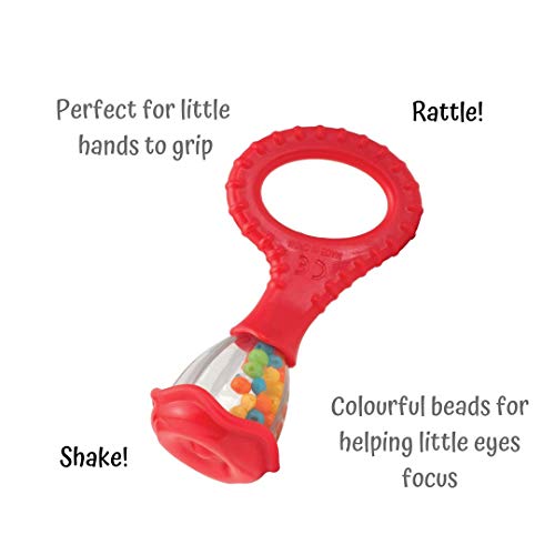 Edushape Toddler's Music Carnival Set