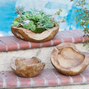 Garden Age Supply Hand Sculpted Natural Reclaimed Teak Wood Bowl Planter (Medium)