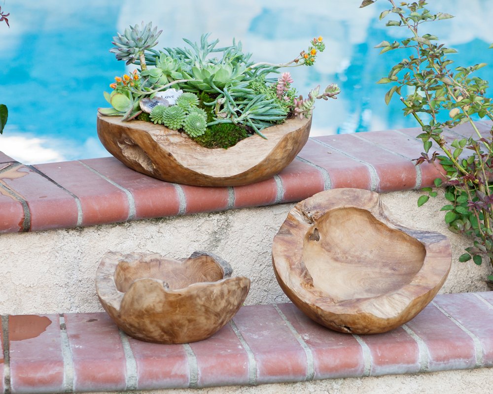 Garden Age Supply Hand Sculpted Natural Reclaimed Teak Wood Bowl Planter (Medium)