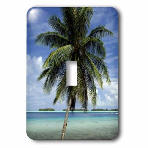 3drose lsp_85033_1 french polynesia, bora bora, palm tree oc13 cmi0246 cindy miller hopkins light switch cover