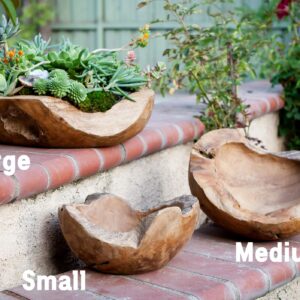 Garden Age Supply Hand Sculpted Natural Reclaimed Teak Wood Bowl Planter (Medium)