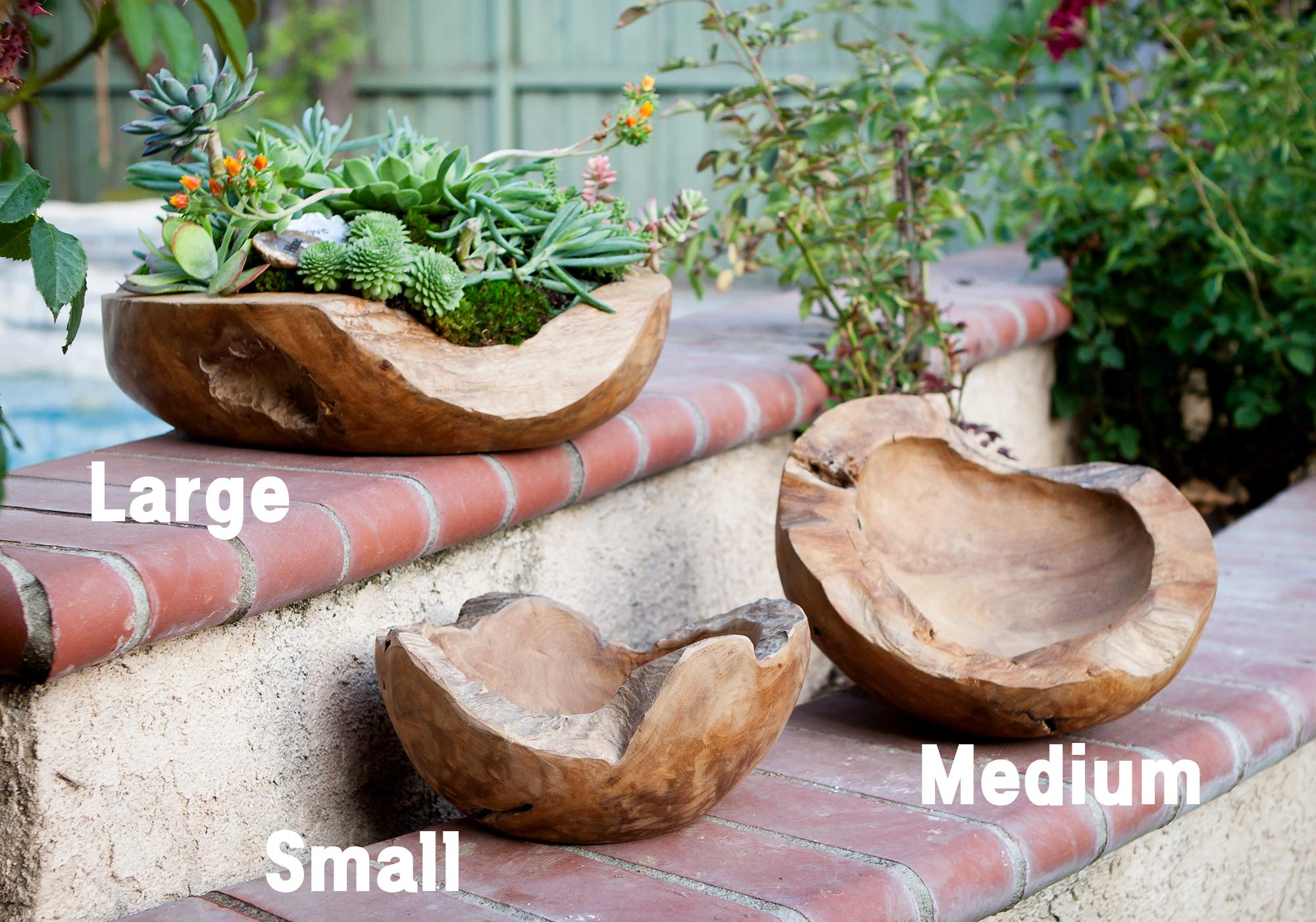 Garden Age Supply Hand Sculpted Natural Reclaimed Teak Wood Bowl Planter (Medium)