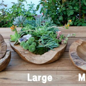 Garden Age Supply Hand Sculpted Natural Reclaimed Teak Wood Bowl Planter (Medium)