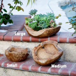 Garden Age Supply Hand Sculpted Natural Reclaimed Teak Wood Bowl Planter (Medium)