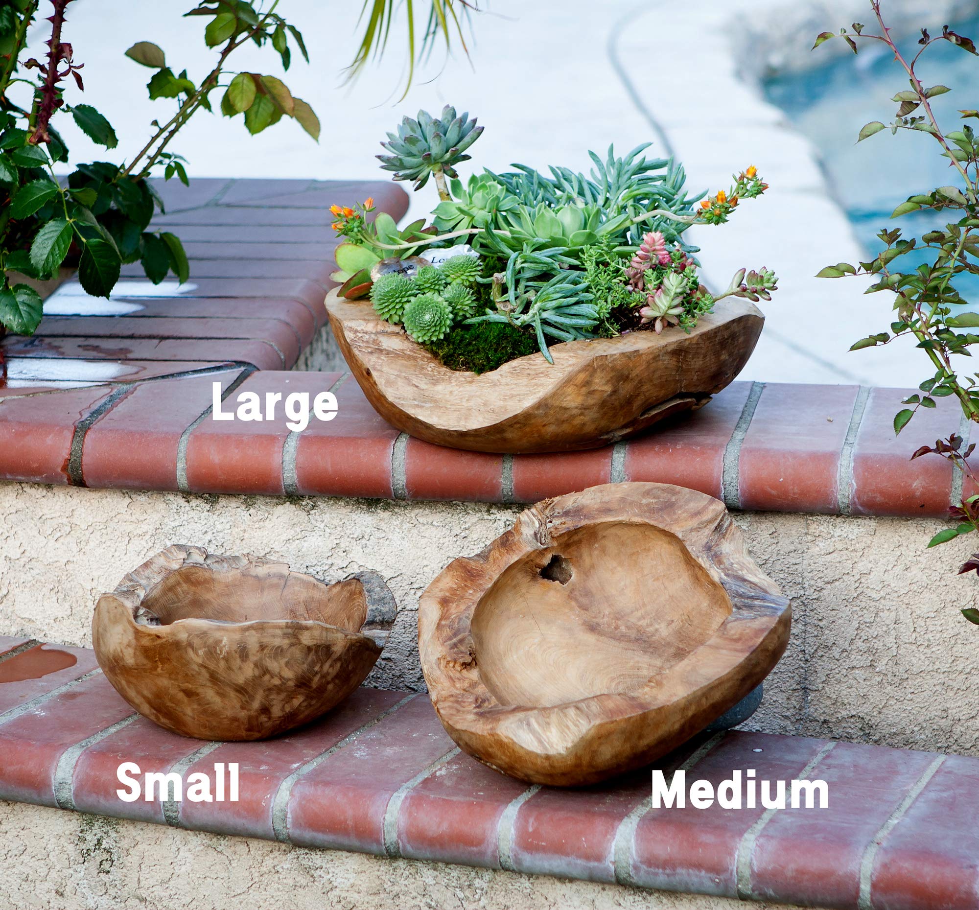 Garden Age Supply Hand Sculpted Natural Reclaimed Teak Wood Bowl Planter (Medium)