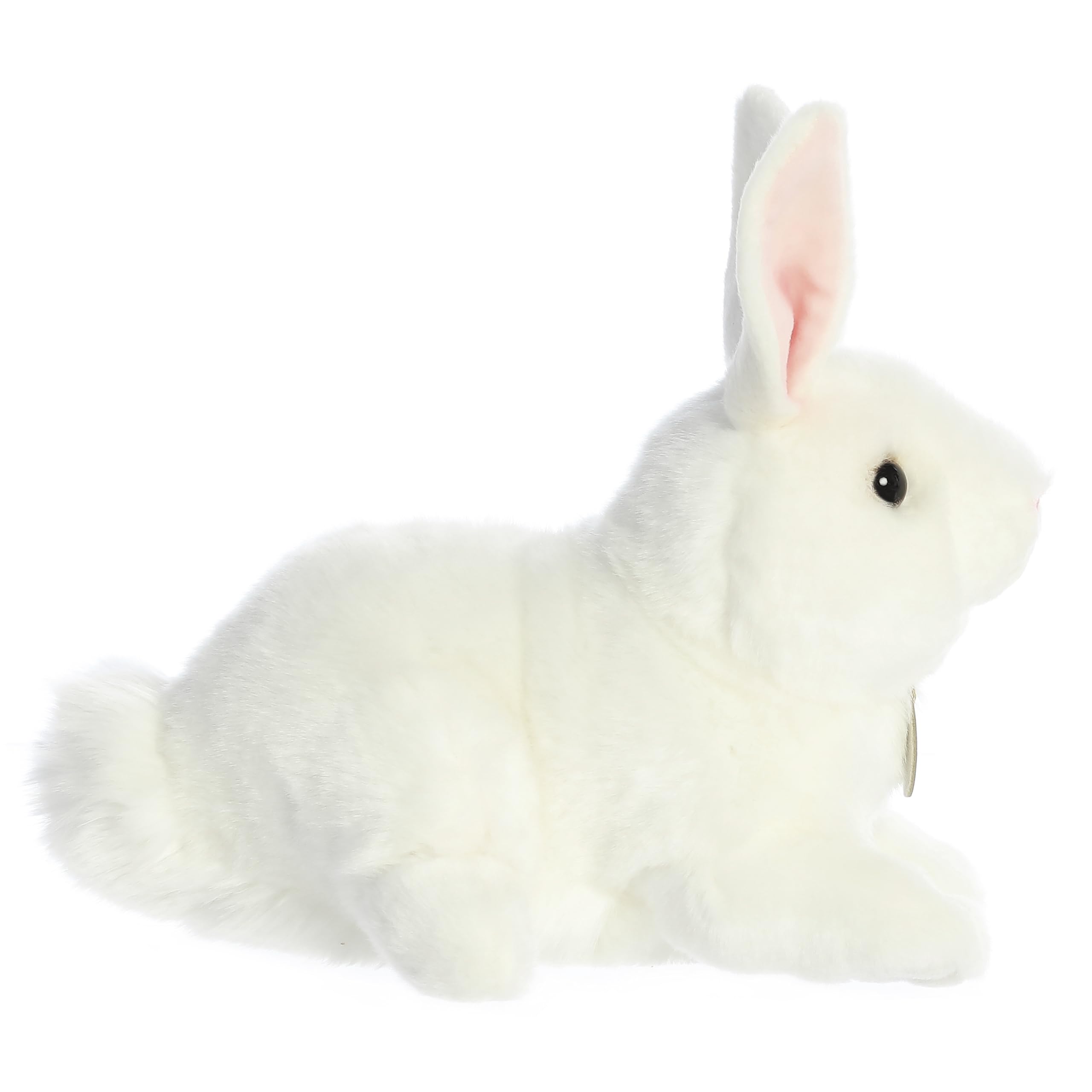 Aurora - Miyoni - 10" American White Rabbit