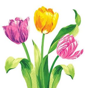 amscan bright tulips luncheon napkins, 16 ct. | party tableware