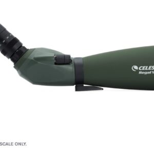 Celestron Regal M2 100ED Spotting Scope – ED Glass for Hunting, Birding and Outdoor Actvities – Phase and Dielectric Coated BaK-4 Prism – Fully Multi-Coated Optics – Dual Focus – 22-67x Zoom Eyepiece