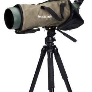 Celestron Regal M2 100ED Spotting Scope – ED Glass for Hunting, Birding and Outdoor Actvities – Phase and Dielectric Coated BaK-4 Prism – Fully Multi-Coated Optics – Dual Focus – 22-67x Zoom Eyepiece