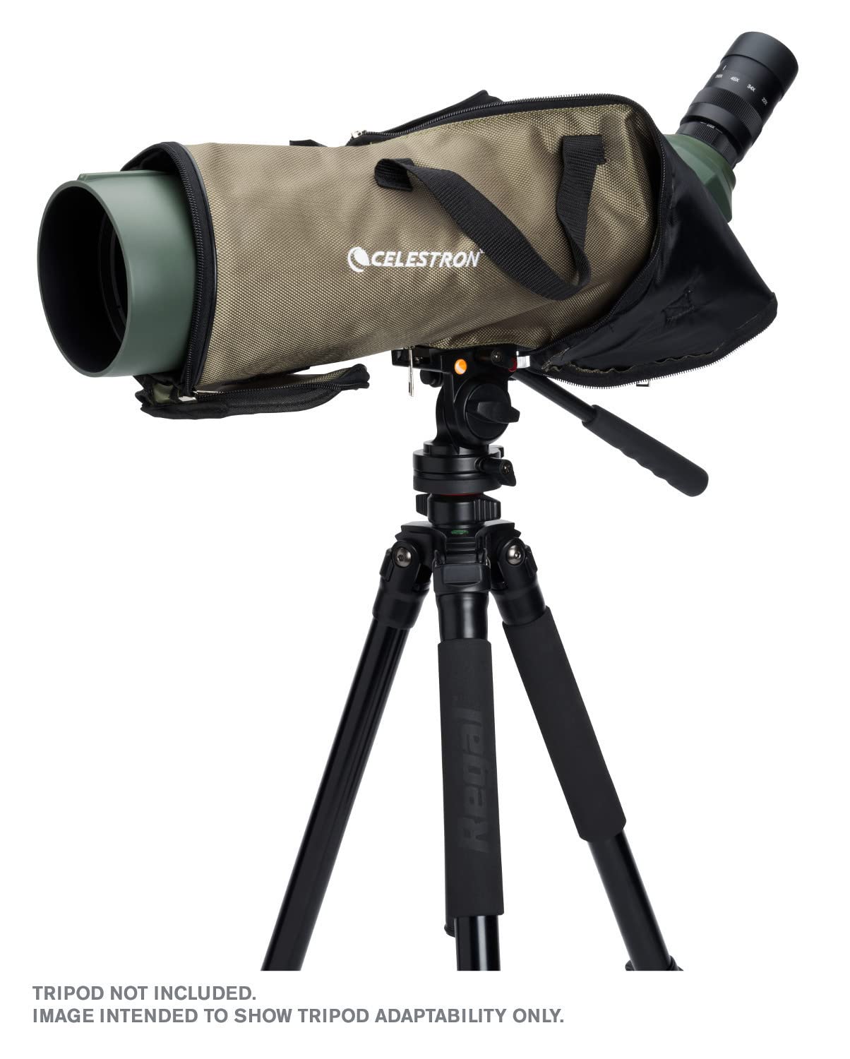 Celestron Regal M2 100ED Spotting Scope – ED Glass for Hunting, Birding and Outdoor Actvities – Phase and Dielectric Coated BaK-4 Prism – Fully Multi-Coated Optics – Dual Focus – 22-67x Zoom Eyepiece