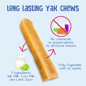 Yeti Dog Chew - Yak Cheese Himalayan Dog Chews - Healthy Long Lasting Dog Chews - Yak Chews for Large, Medium and Small Dogs - Yak Bones for Dogs - Natural Yak Cheese Dog Chews - Large, 7 oz