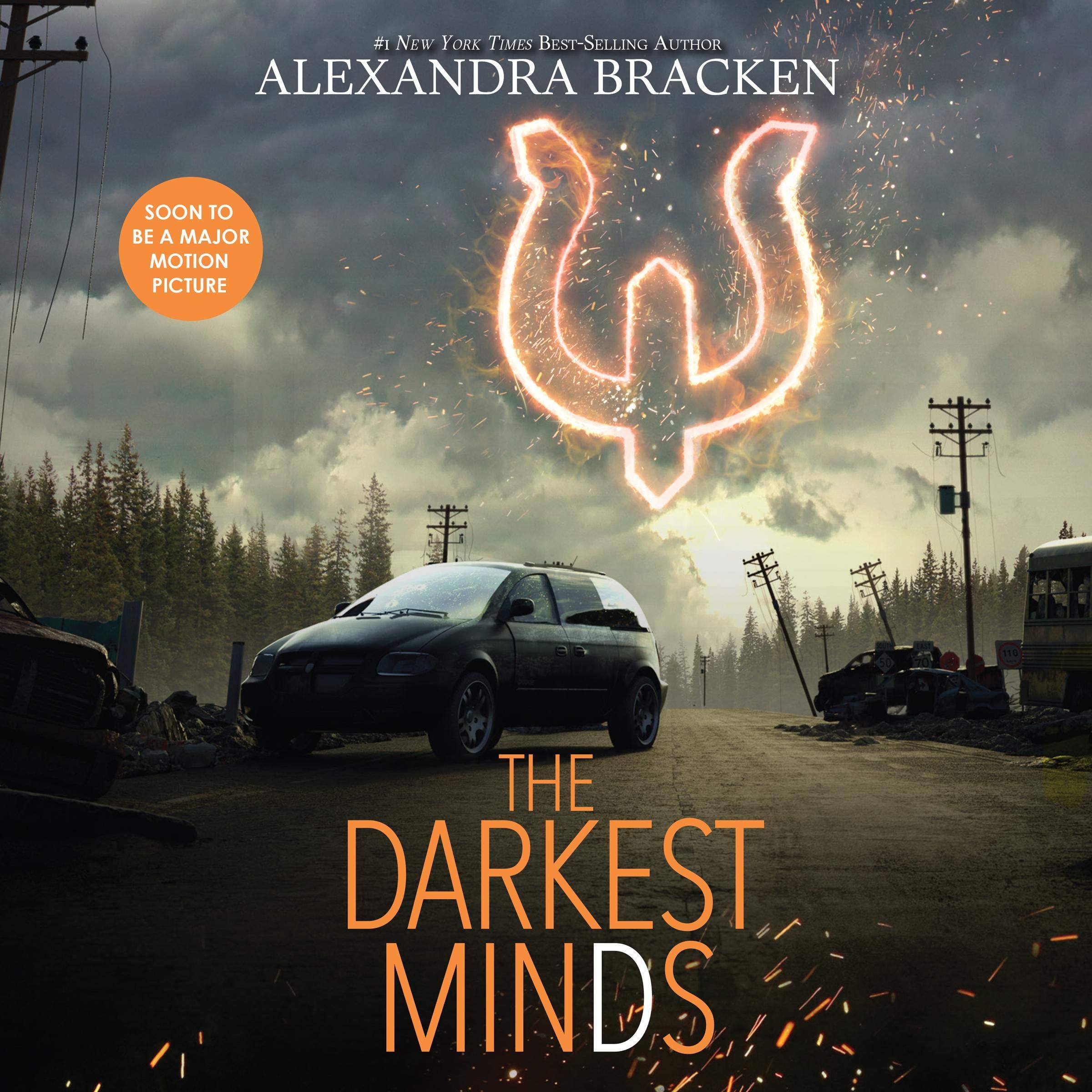 The Darkest Minds: Darkest Minds, Book 1