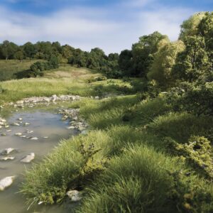 Woodland Scenics Clump Foliage, Green