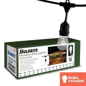 Bulbrite STRING15/E26-S14KT Outdoor, Garden, Patio, Wedding, Party, Holiday, Lawn, and Landscape String Light w/Incandescent Bulbs, 48-Feet, 15 Lights