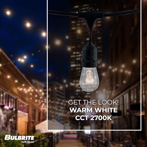 Bulbrite STRING15/E26-S14KT Outdoor, Garden, Patio, Wedding, Party, Holiday, Lawn, and Landscape String Light w/Incandescent Bulbs, 48-Feet, 15 Lights