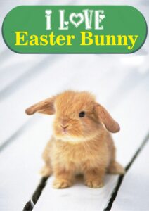 where is my easter bunny (a learn to read picture book for kids)