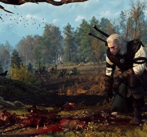 The Witcher 3: Wild Hunt (Xbox One)