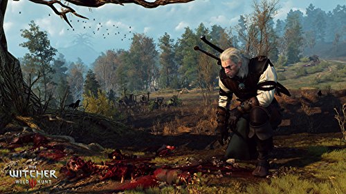 The Witcher 3: Wild Hunt (Xbox One)