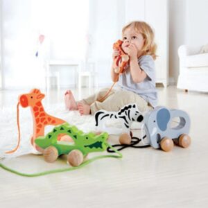 Hape Giraffe Wooden Push and Pull Toddler Toy, L: 5.3, W: 2.4, H: 5.9 inch, Orange