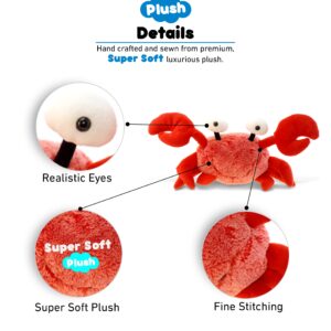 DolliBu Red Crab Stuffed Animal - Super Soft Crab Plush Toy, Cute Crab Ocean Stuffed Animal for Boys and Girls, Adorable Red Stuffed Animal Crab Toy Gift for Kids, Teens, and Adults -12 Inches