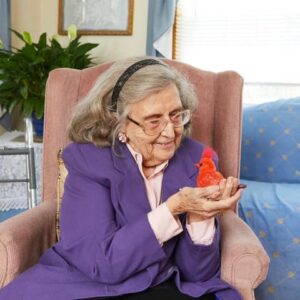 Joy For All Ageless Innovation Companion Pet for Seniors - Walker Squawker - Lifelike Animatronic Bird - Interactive Chirping - Walker Accessories - Therapy Toys for Alzheimers & Dementia - Bluebird