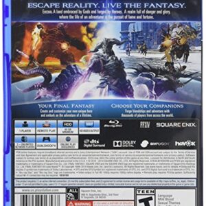 Final Fantasy XIV: A REALM REBORN - PlayStation 4