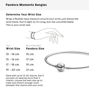 PANDORA Sterling Silver Bangle Bracelet, 8.3 IN