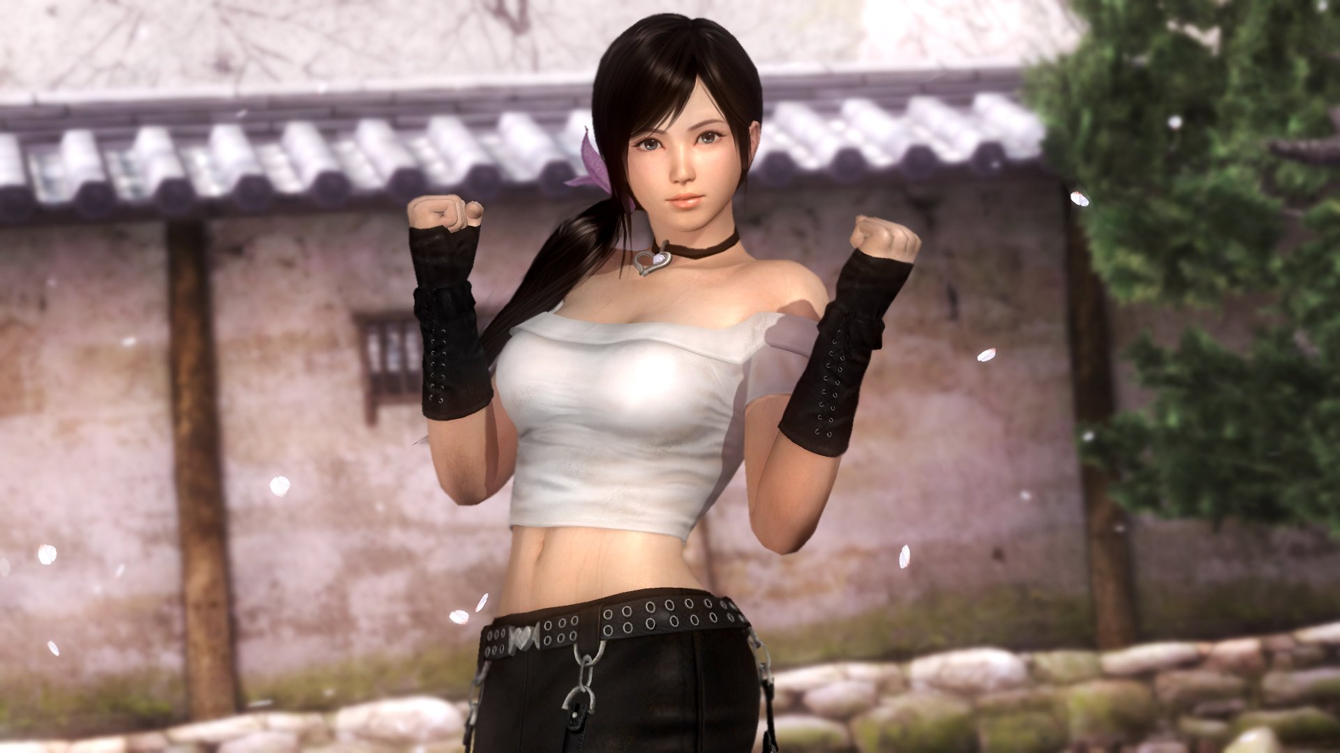 Dead or Alive 5 Ultimate - Xbox 360