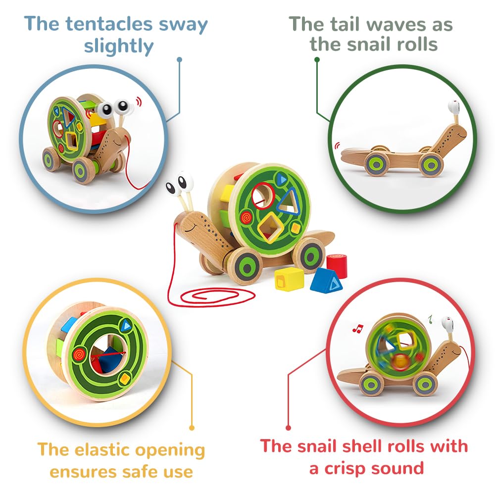 Hape Walk-A-Long Snail Pull Toy |Award Winning Toddler Wooden Push and Pull Toy with Removable Color