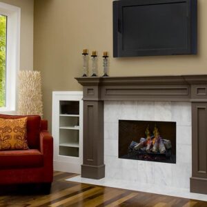 DIMPLEX DLGM29 Opti-Myst Open Hearth Fireplace Insert with Faux Logs Bed, Alabaster