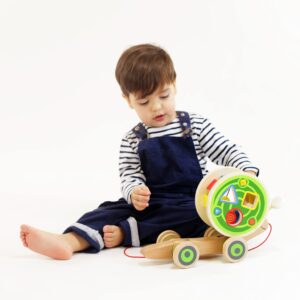 Hape Walk-A-Long Snail Pull Toy |Award Winning Toddler Wooden Push and Pull Toy with Removable Color