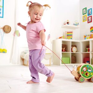 Hape Walk-A-Long Snail Pull Toy |Award Winning Toddler Wooden Push and Pull Toy with Removable Color