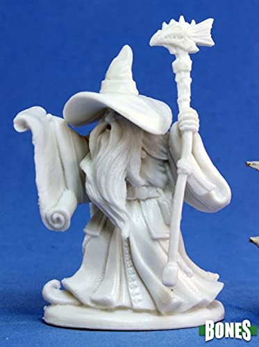 REAPER Galladon, Male Wizard RPR 77054