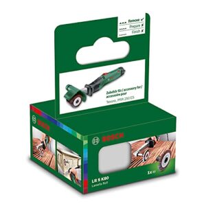 Bosch Home and Garden Sanding Lamella Roll (LR5 K80, for Bosch Home and Garden PRR 250 Removing Roller)