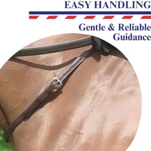 Nunn Finer Neck Grab Strap Leather (Havanna Stainless Steel)