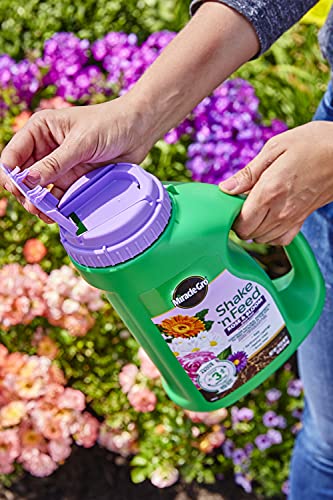 Miracle-Gro Shake 'N Feed Rose & Bloom Plant Food, Plant Fertilizer, 4.5 lbs. (6-Pack)