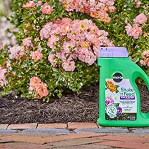 Miracle-Gro Shake 'N Feed Rose & Bloom Plant Food, Plant Fertilizer, 4.5 lbs. (6-Pack)