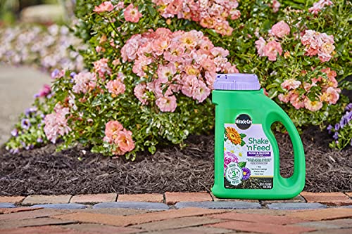 Miracle-Gro Shake 'N Feed Rose & Bloom Plant Food, Plant Fertilizer, 4.5 lbs. (6-Pack)