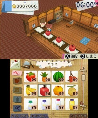 Home Town Story [Japan Import]