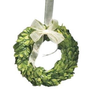 napa home & garden 6-inch preserved boxwood wreath with ribbon