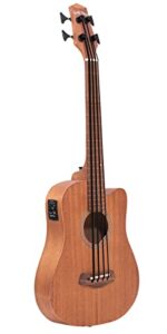 gold tone m-bassfl 23-inch scale fretless acoustic-electric microbass with gig bag