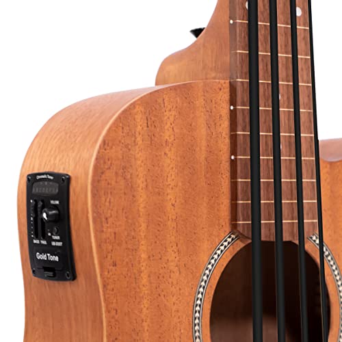 Gold Tone M-BassFL 23-Inch Scale Fretless Acoustic-Electric MicroBass with Gig Bag