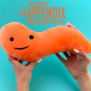 I Heart Guts Appendix Plush - Feel It In Your Gut - 14" Stuffed Organ Plush Toy, Appendix Removal Get Well Gifts, Ideal for Appendicitis, Kids, Nurses, Medical Students,Surgery