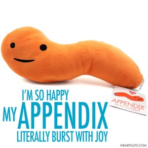 I Heart Guts Appendix Plush - Feel It In Your Gut - 14" Stuffed Organ Plush Toy, Appendix Removal Get Well Gifts, Ideal for Appendicitis, Kids, Nurses, Medical Students,Surgery