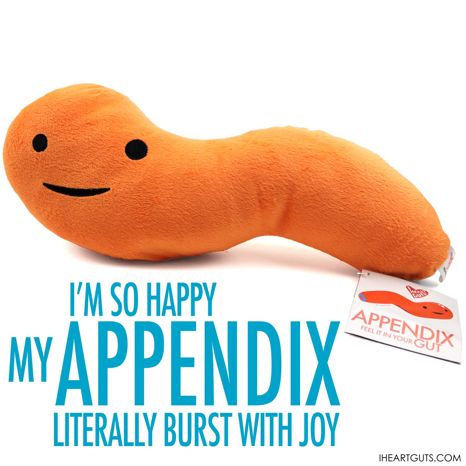 I Heart Guts Appendix Plush - Feel It In Your Gut - 14" Stuffed Organ Plush Toy, Appendix Removal Get Well Gifts, Ideal for Appendicitis, Kids, Nurses, Medical Students,Surgery