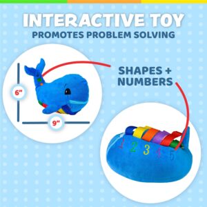 Buckle Toys - Blu Whale - Develop Motor Skills and Problem Solving - Counting and Color Recognition - Sensory Toddler Travel Toy